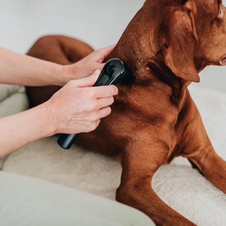 Novafon power 2 - NOVAFON